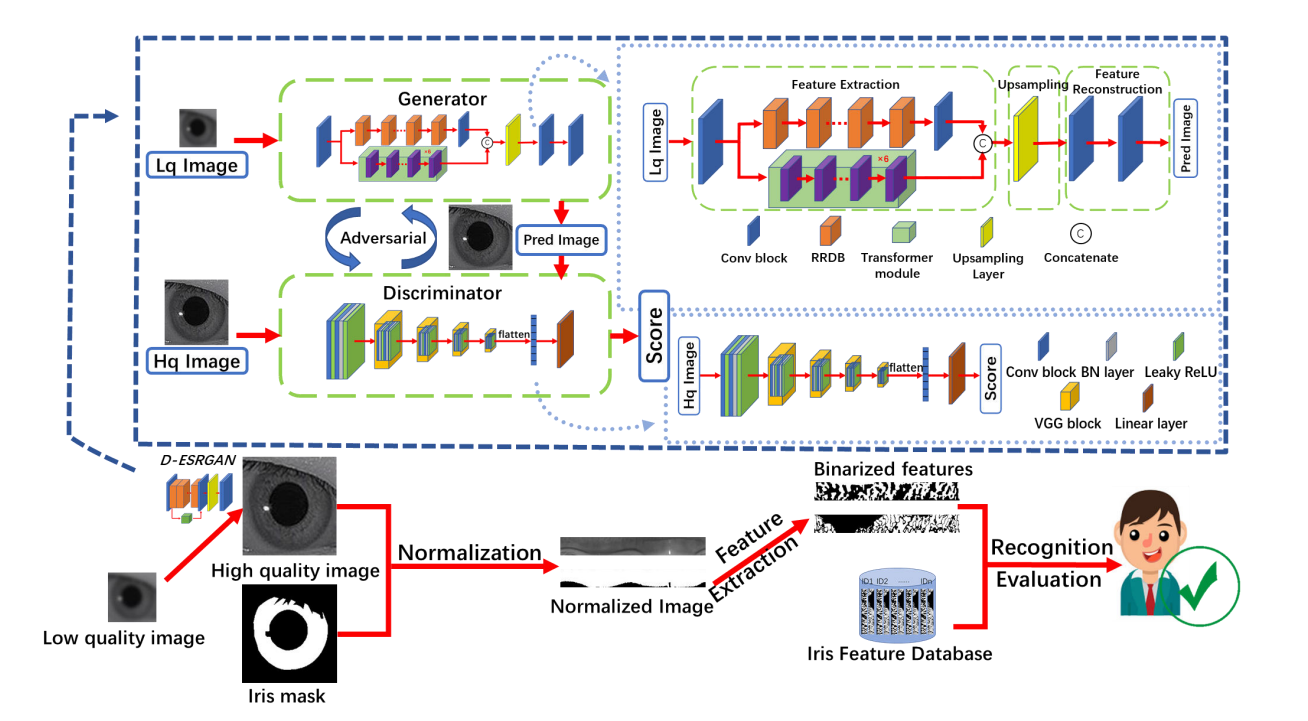 D-ESRGAN: A Dual-Encoder GAN with Residual CNN and Vision Transformer ...