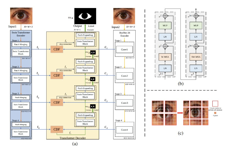 Sclera-TransFuse: Fusing Swin Transformer and CNN for Accurate Sclera Segmentation | Smart ...