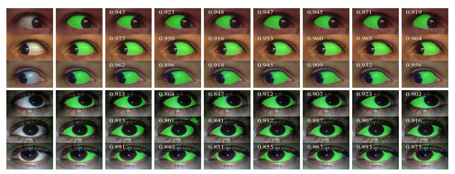 Exploring Bias in Sclera Segmentation Models: A Group Evaluation Approach | Smart Identity ...
