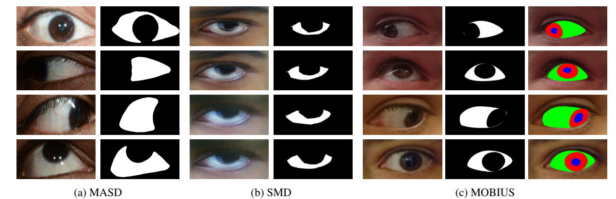 SSBC 2020: Sclera Segmentation Benchmarking Competition in the Mobile ...