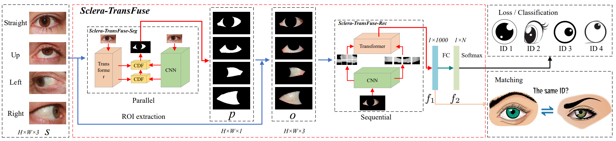 Sclera-TransFuse: Fusing Vision Transformer and CNN for Accurate Sclera Segmentation and ...