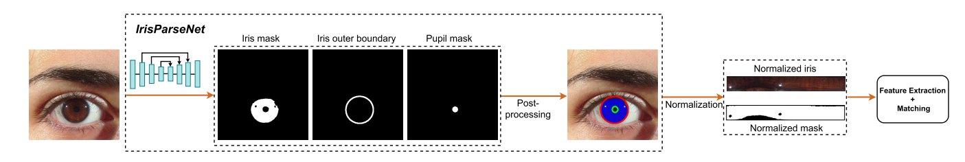 Towards Complete and Accurate Iris Segmentation Using Deep Multi-Task Attention Network for Non ...
